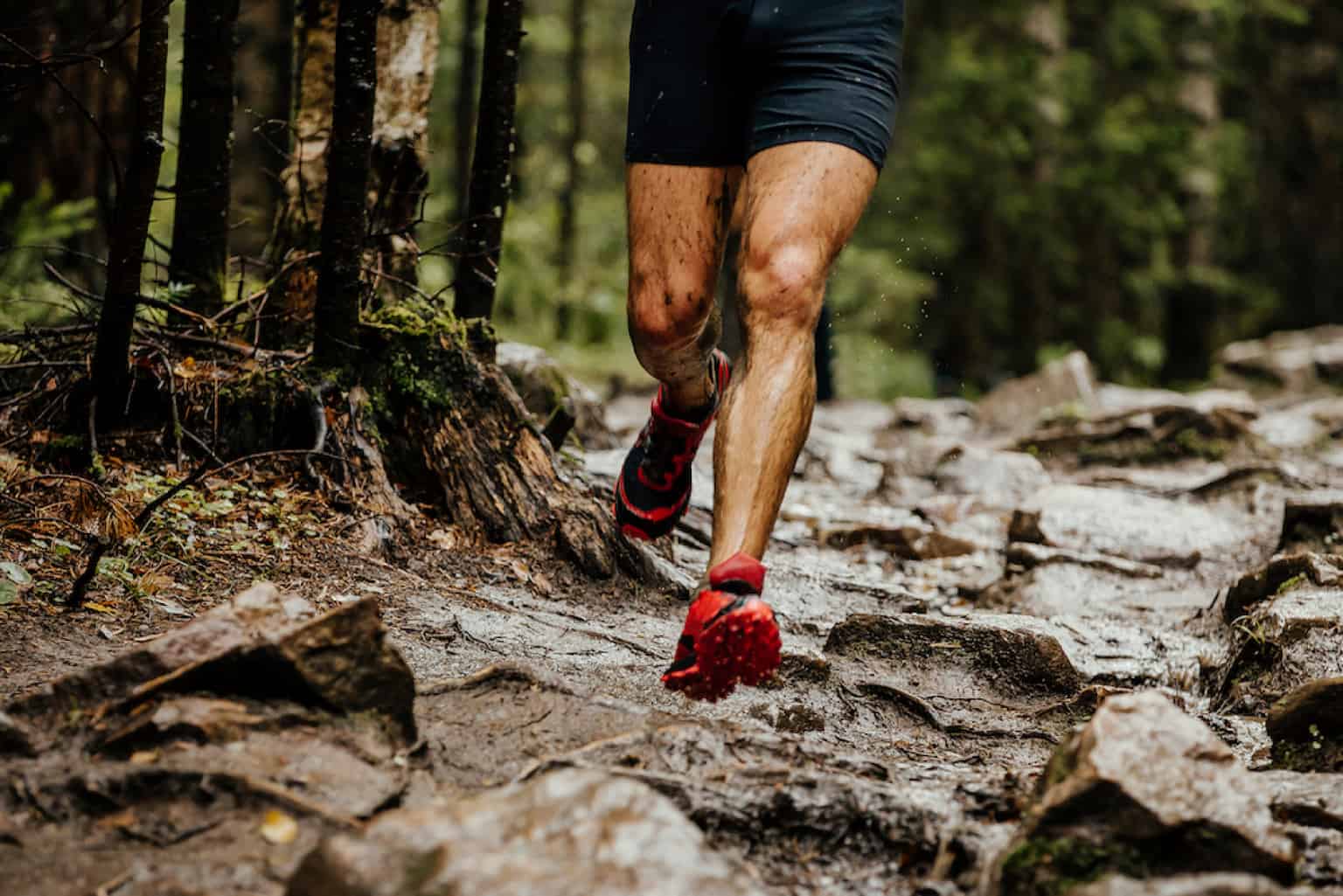 11 Best Trail Running Shoes (2025 Updated Guide)
