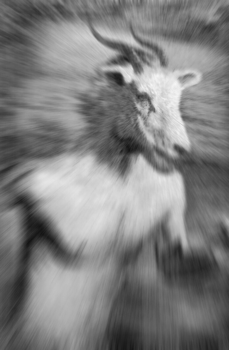 Karl Meltzer: The Ultrarunning Speedgoat (2023 Guide)