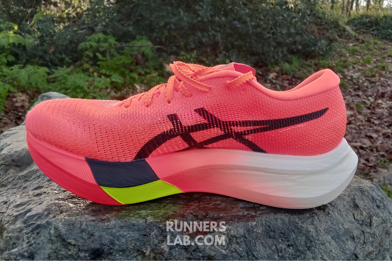 Asics Metaspeed Sky Paris Review (2024): Carbon Queen?
