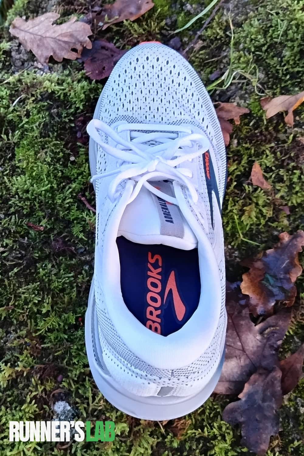 Brooks Adrenaline GTS 24 Review (2024): Top Stability Trainer?
